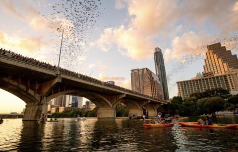 Kayak and Paddleboard Rentals | Austin Rowing Club